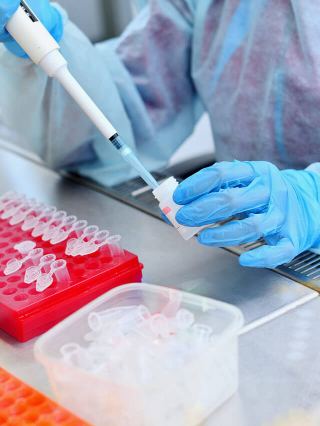 Courier & Delivery Services | ReliableCouriers.com